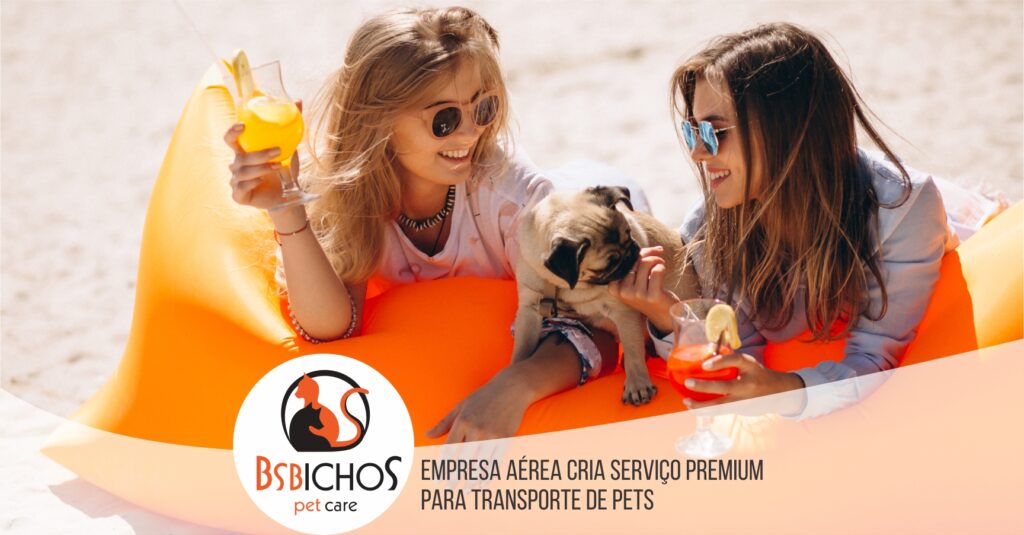 Emirates cria serviço premium para transporte de pets – bsbichos